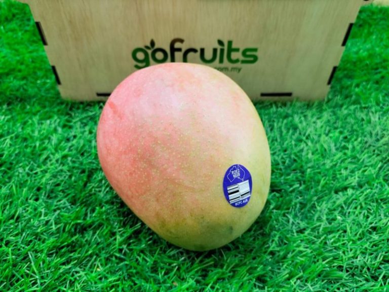 Harum Manis, 1 ctn – GoFruits Malaysia