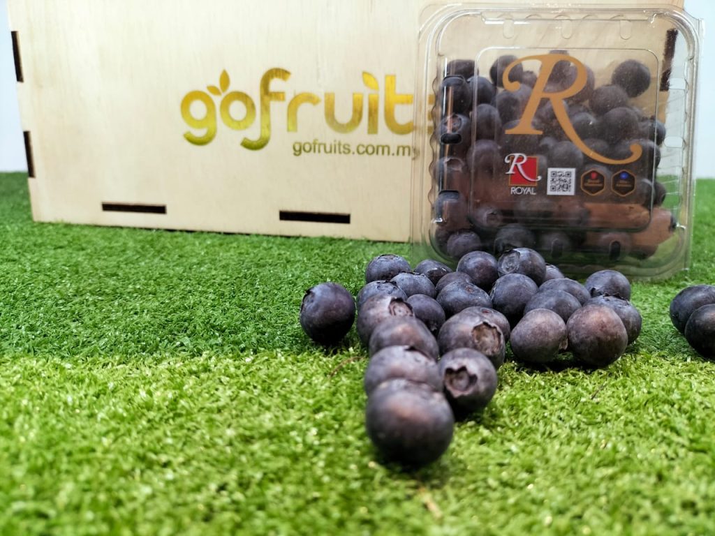 African Blue Blueberry, (Zim), 125g – GoFruits Malaysia