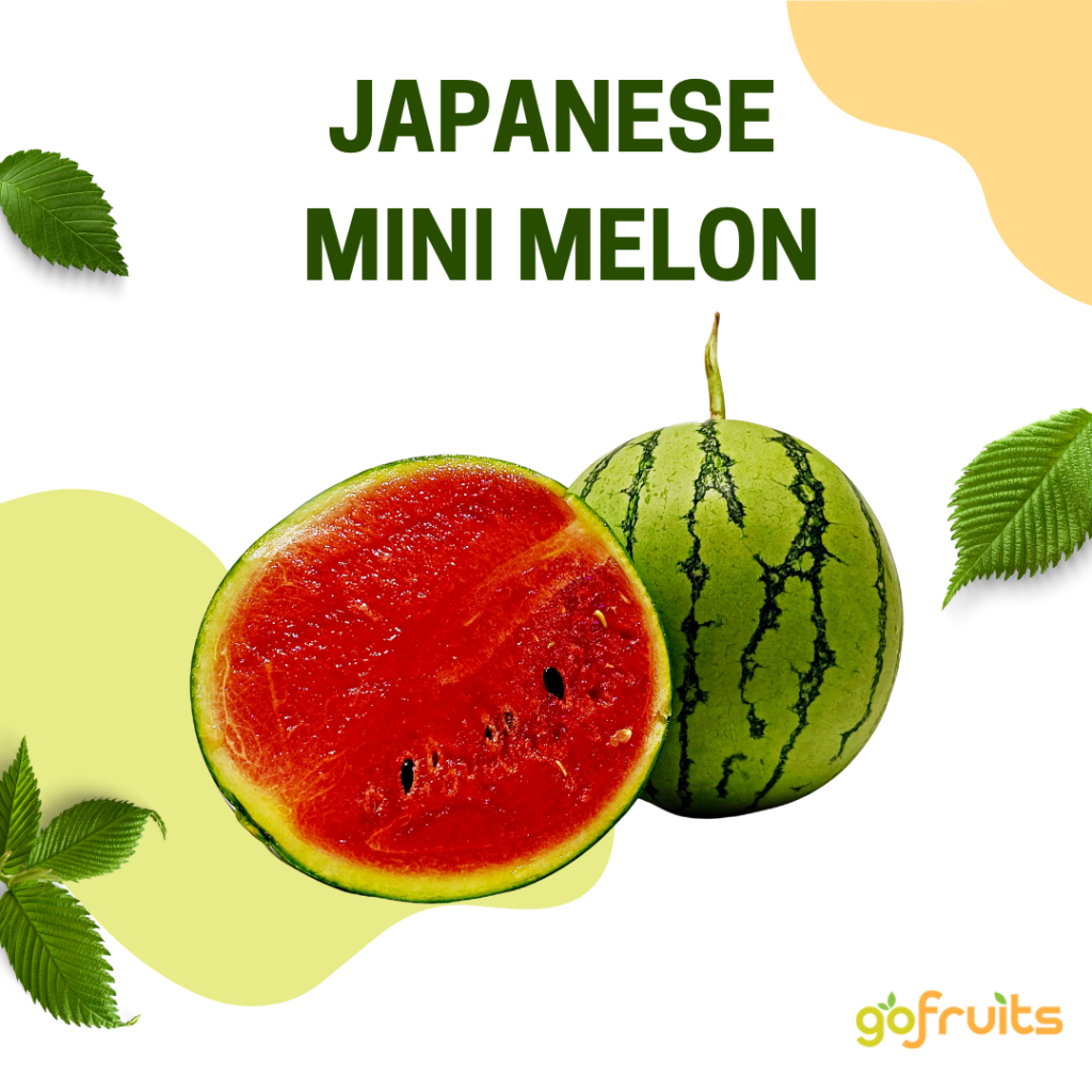 Japanese Kumamoto Watermelon, 800g+-,1pc – GoFruits Malaysia
