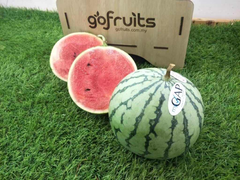 Japanese Kumamoto Watermelon, 800g+-,1pc – GoFruits Malaysia